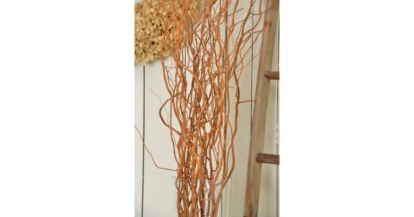 Curly Branches | Decorative Tree Branches