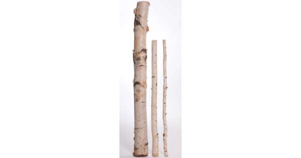 Long Decorative White Birch Poles - 8 ft long