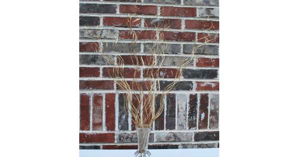 Gold Wavy Curly Ting Ting Glittered -- Wavy TingTing