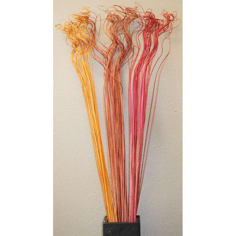 Long Curly Ting Ting Branches, Tall Curly Ting Ting