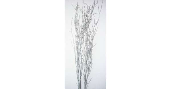 Silver Birch Branches | Silver Branches for Centerpieces