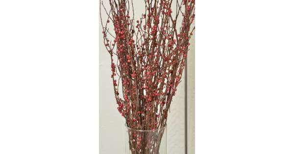 Red Berry Sweet Huck Branch