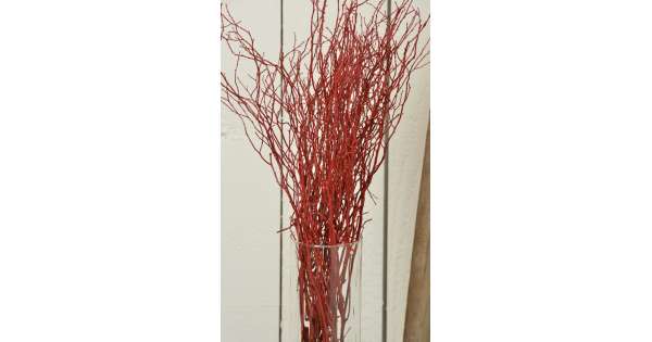 Sweet Huck Branches - Fire Red 8oz Huckleberry bunch