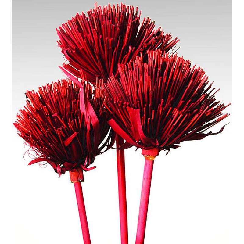 Papyrus Stemmed Flowers