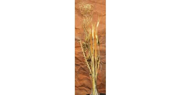 Dried Cattail Fall Bunch - Fall Arrangement