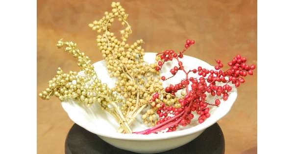 Dried Canella Berries - Decorative Bunch