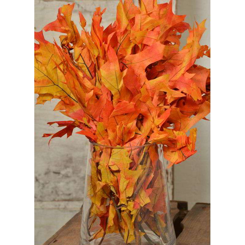 Preserved Autumn Oak Leaves, 1LB Decorative, Pressed, Dried Leaves