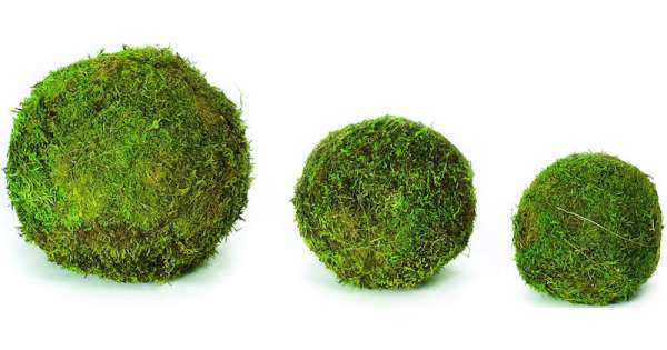 Decorative Moss Balls | Moss Balls for Sale | Sheet Moss Balls