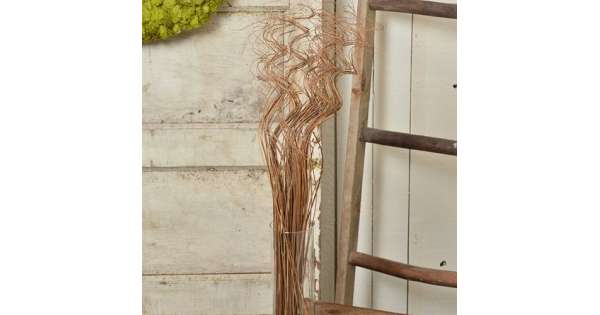 Dried Natural Curly Ting Ting Branches